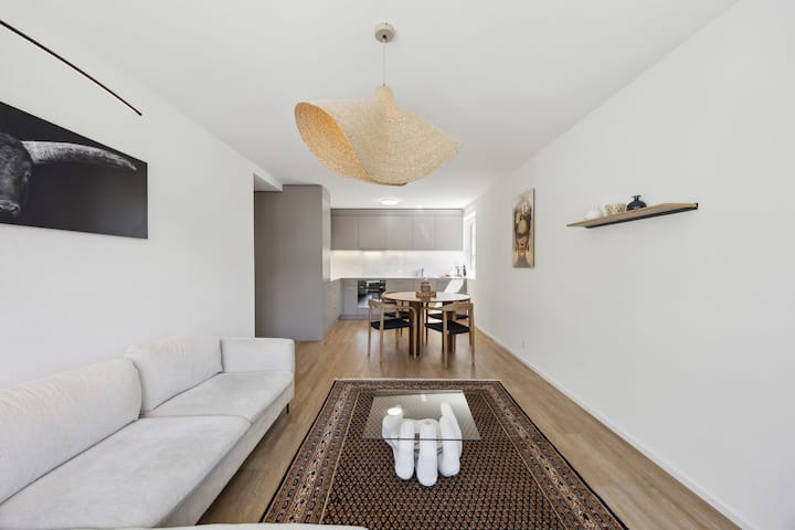 Charming 2br Apartment Located Near Train Station - Zurique