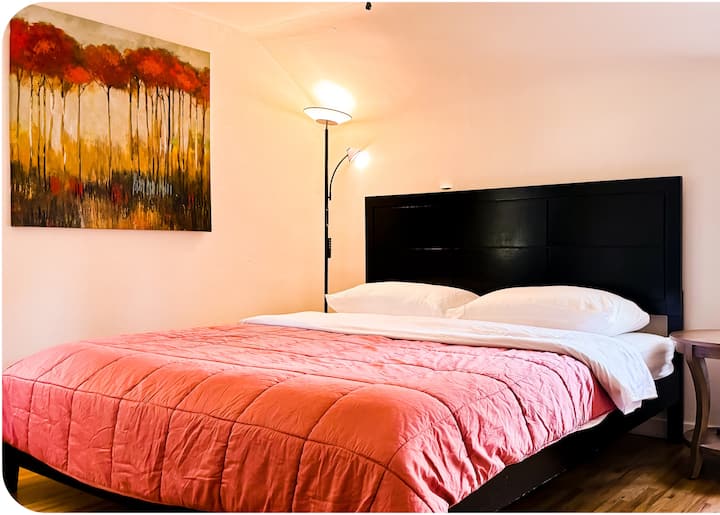 2br Apartment Near Ub, Niagara, Hospitals, Buffalo - Buffalo, NY