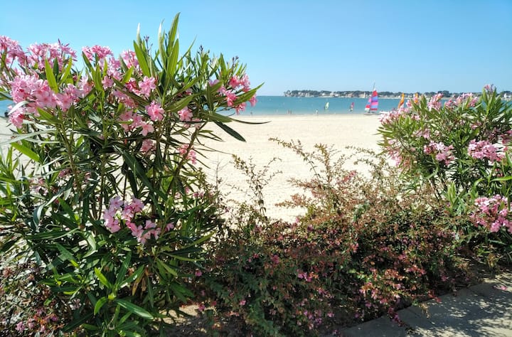 Studio D’exception Accès Direct à La Plage Benoît - La Baule-Escoublac