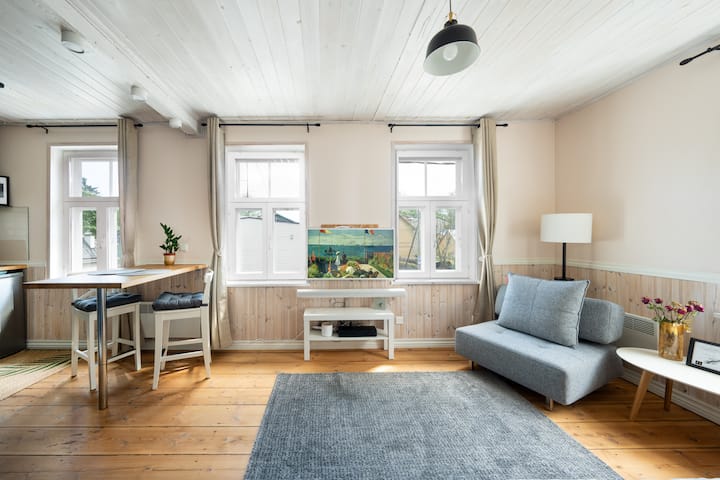 Garden Studio Next To Telliskivi & Old Town - Tallinn