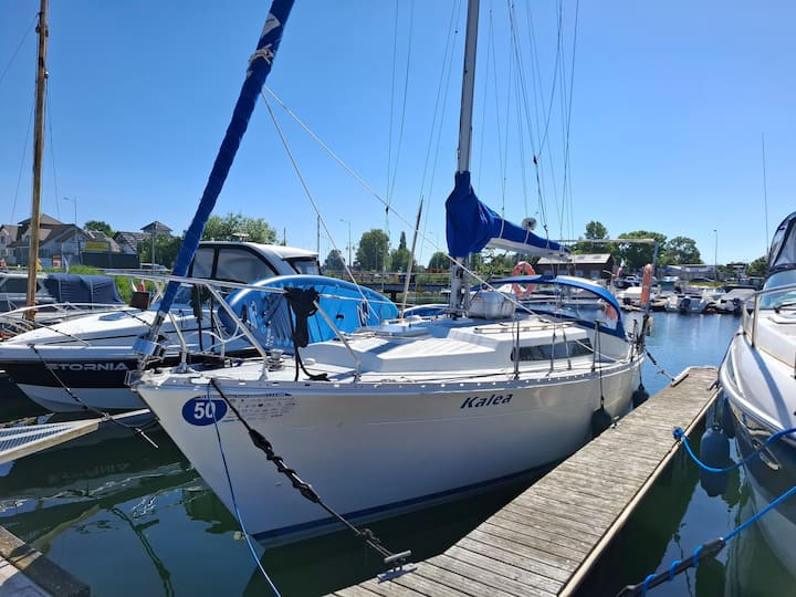Jacht W Marinie Jastarnia - Jastarnia