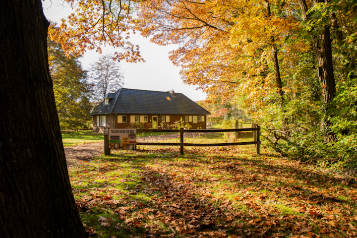 Tussen Heide En Bos In Het Nat. Park Hoge Kempen - As