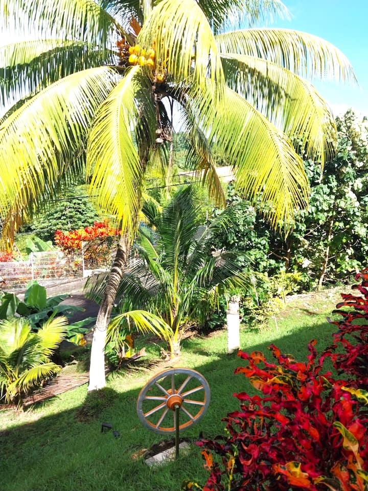 Kreol Green Place - Fort-de-France
