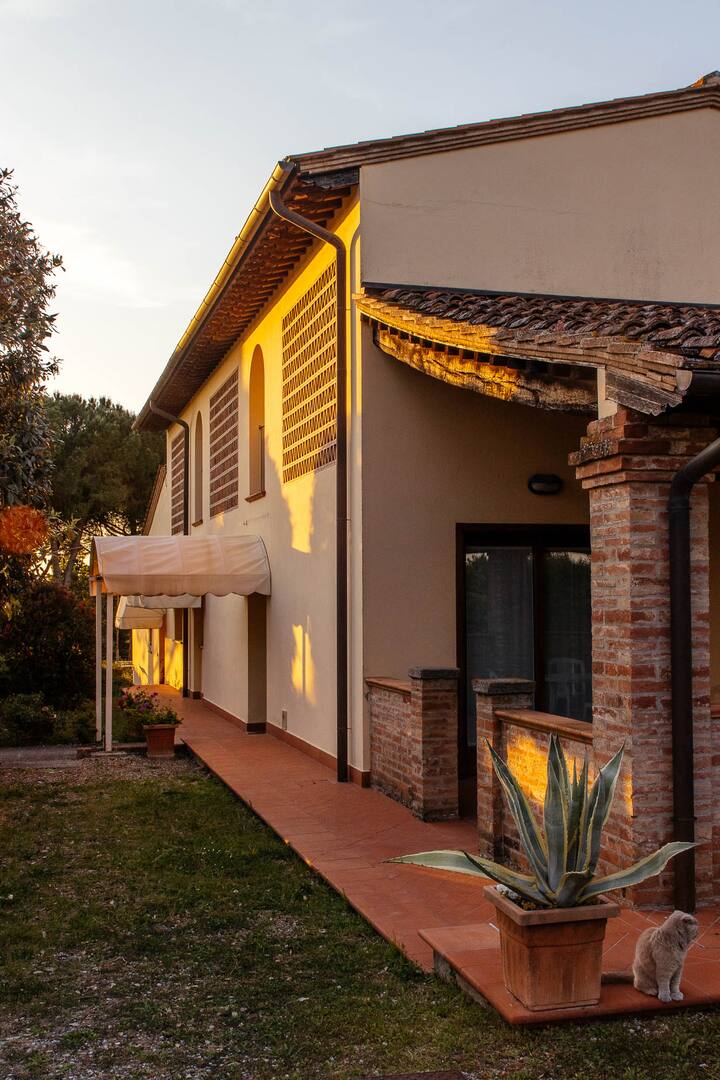 B&b Collebrunacchi, 10 Single Room - San Miniato