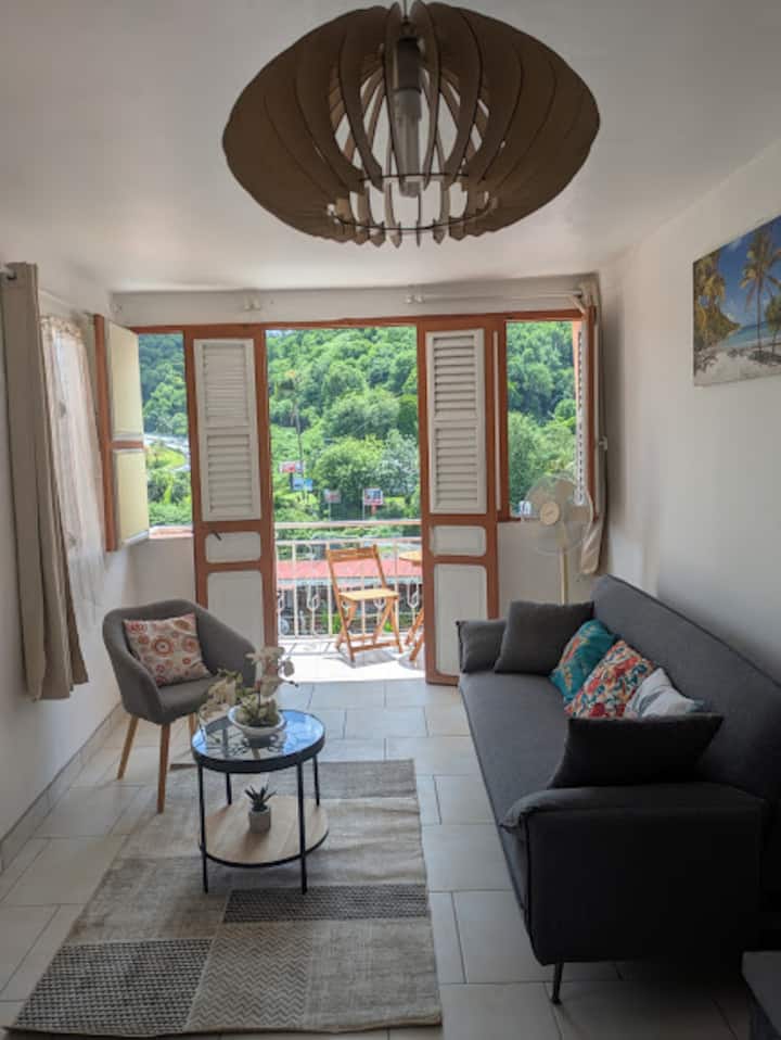 Petite Maison Typique De Ville - Martinique