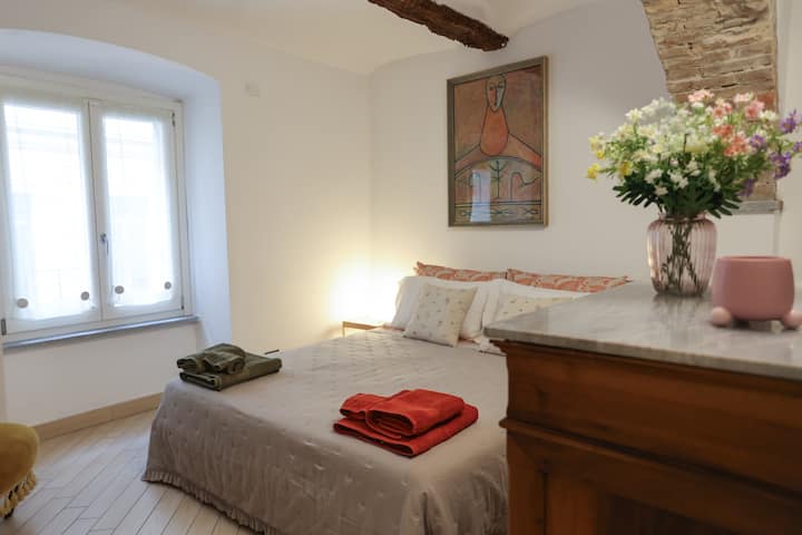 Apartment Corso Alfieri From 1700s Ac & Queen Bed - Asti