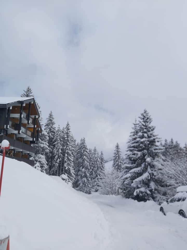 Studio 4 Personnes Manigod Col Du Merdassier - Manigod