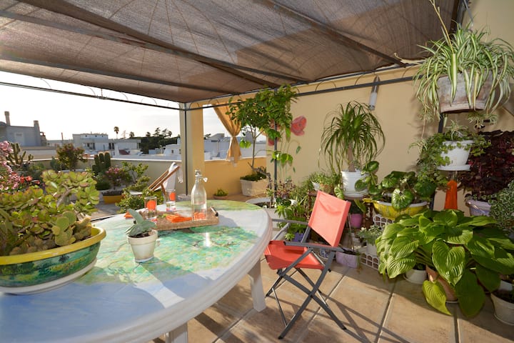 The Garden On The Terrace - San Vito dei Normanni