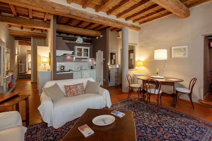 Historic Gem: Exposed Beams, Cotto, Ac & Wifi - Florencia