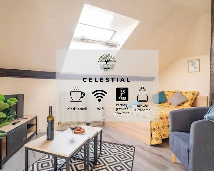 Celestial - Studio Cosy/centre-ville/parking-wifi - Sarrebourg