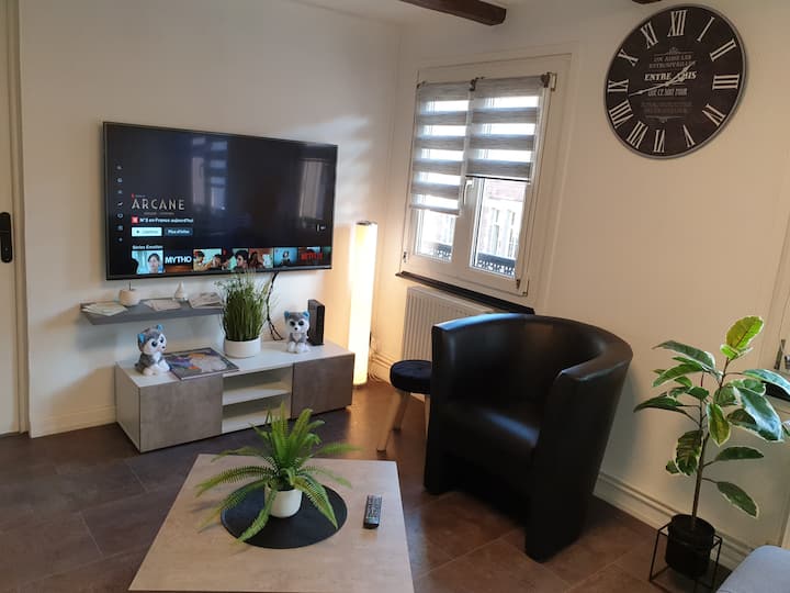 Charmant Appartement Centre Ville
5 Voyageur - Sélestat