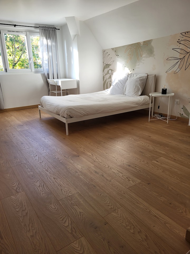 Chambre En Coloc Hyper Centre - Vichy