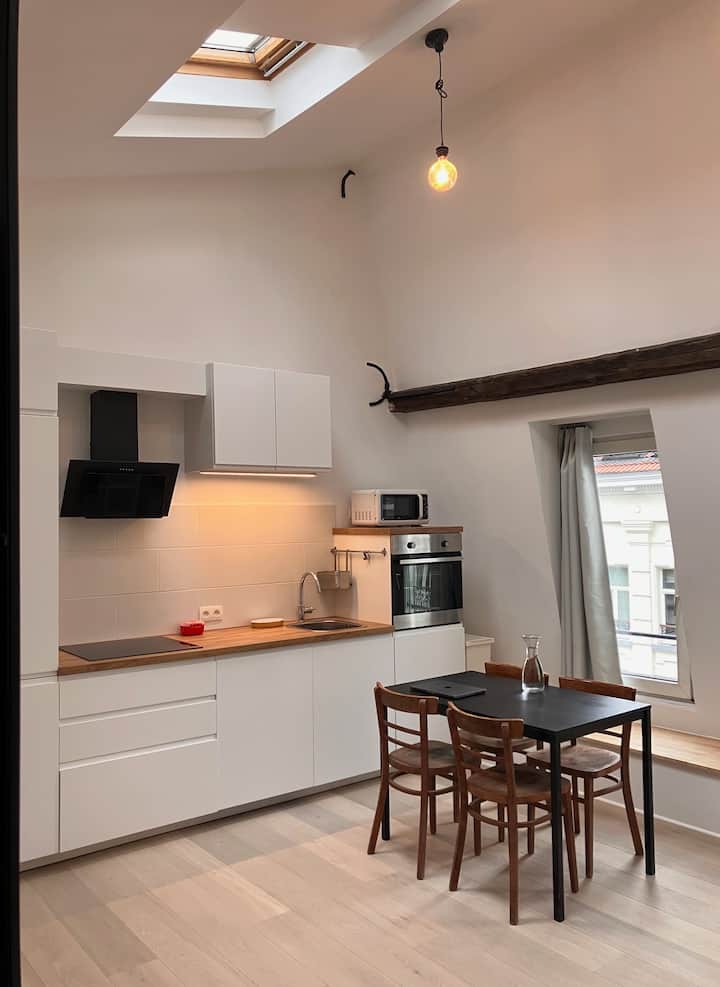 Royal Park Top Floor - Bruxelles