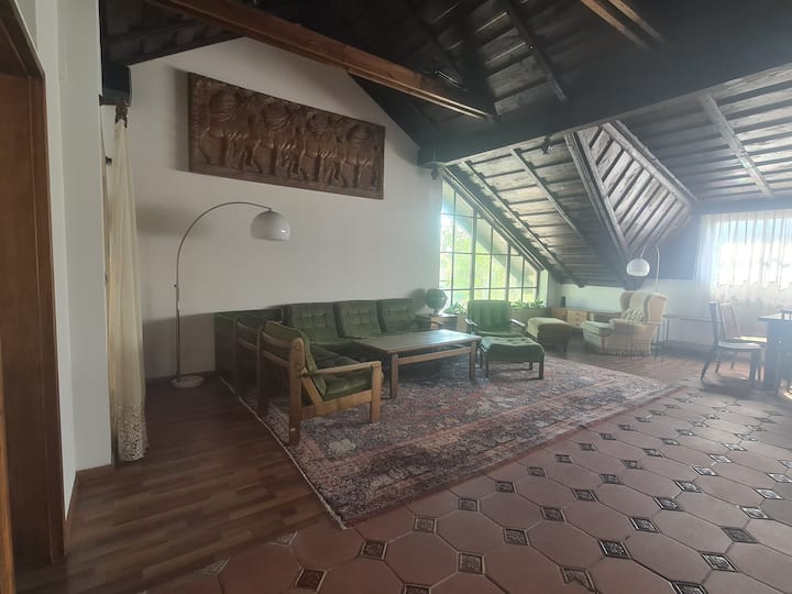 Leo 12 / Die Mid-century Villa Mit Garten - Schwechat