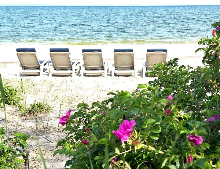 Paradise Found - Riverhead, NY