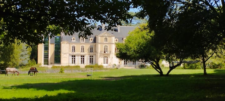 Château De Lailly En Val (Fontpertuis) - Beaugency
