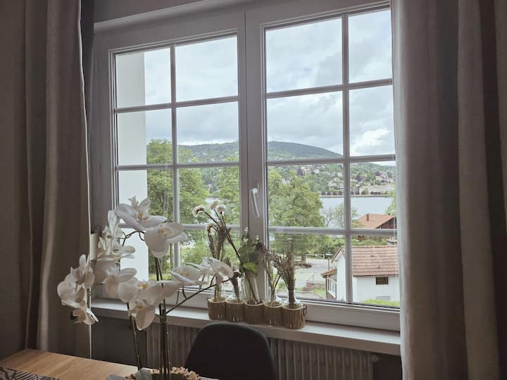 Charmant Appartement/ Vue Sur  Le Lac De Gérardmer - Lac de Gérardmer