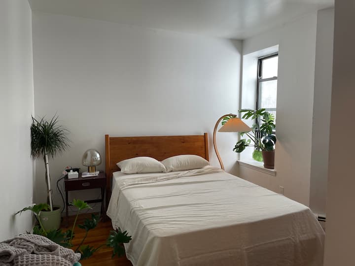 Brooklyn Oasis - Crown Heights, NY