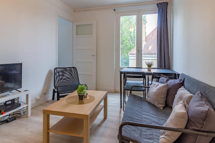 Hypercentre, Idéal Famille/amis, Animaux, Wifi - Troyes