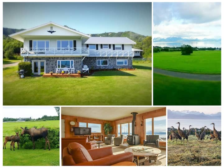 Private 28 Acres - 180° Bay View - Carolyn's Place - Halibut Cove, AK