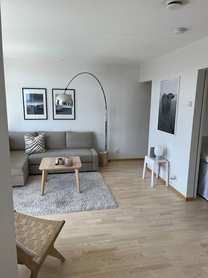 Strandlägenhet På 3:e Våningen Vid Havet I ÅHus - Åhus
