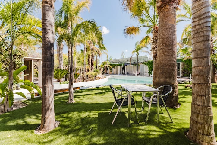 Palm Garden - Náquera