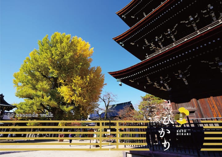 Koto Hikari【1f】no Shared Space With Others! - Takayama
