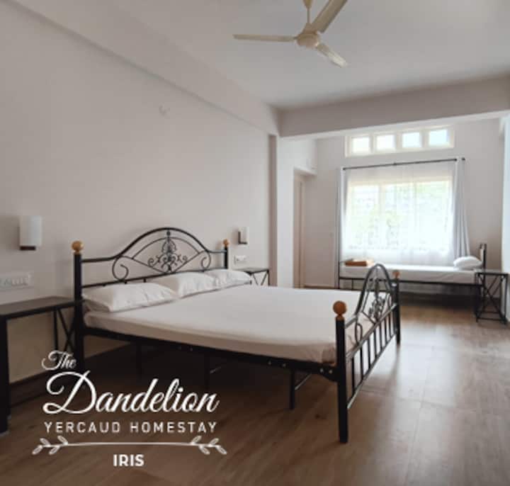 Premium Spacious Room: Iris @ Dandelion Yercaud - Yercaud
