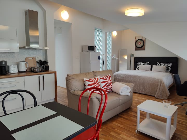 Jednopokojový Apartmán Placzek - Brno