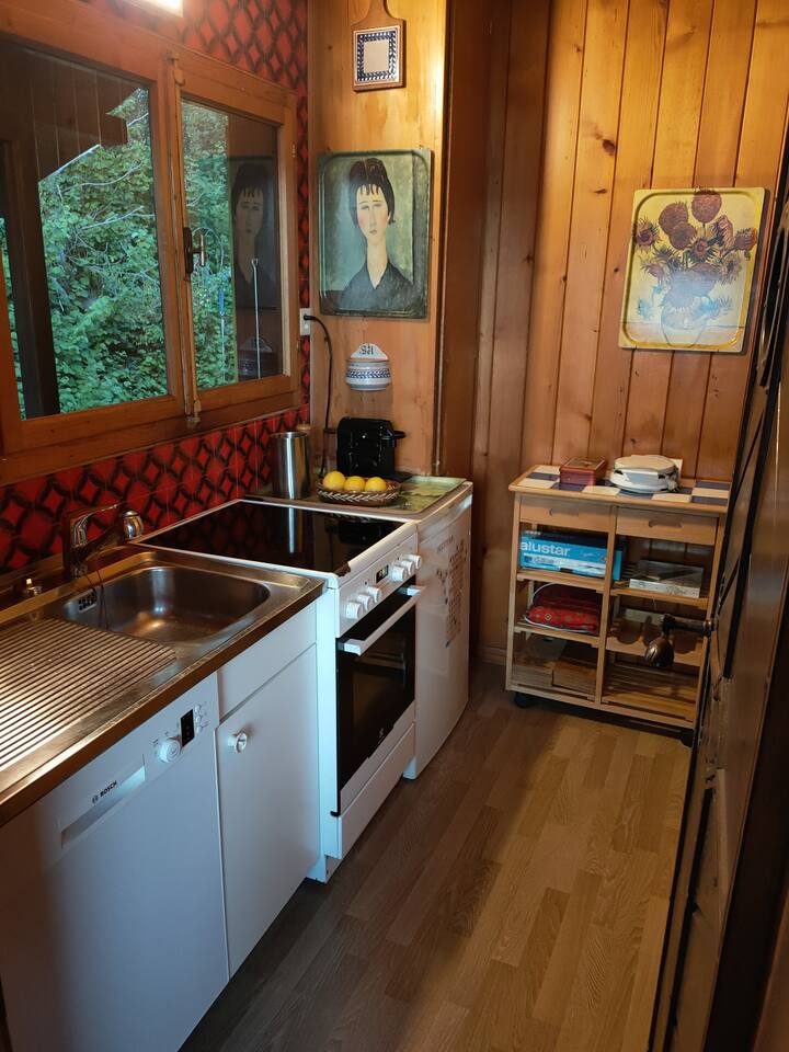 Chalet Cosy Au Bord Du Lac - Neuenburg