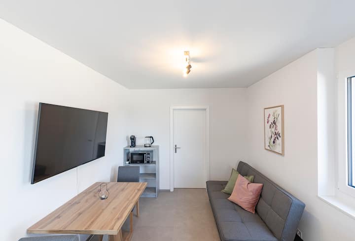 Rothorn Studio - Aare Jungfrau Ag - Spiez