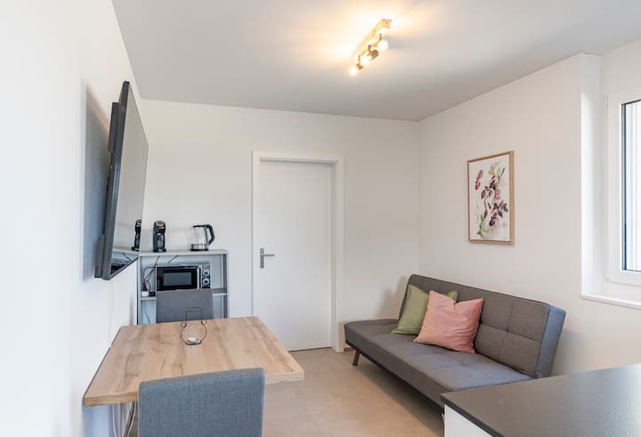 Rothorn Studio - Aare Jungfrau Ag - Thun