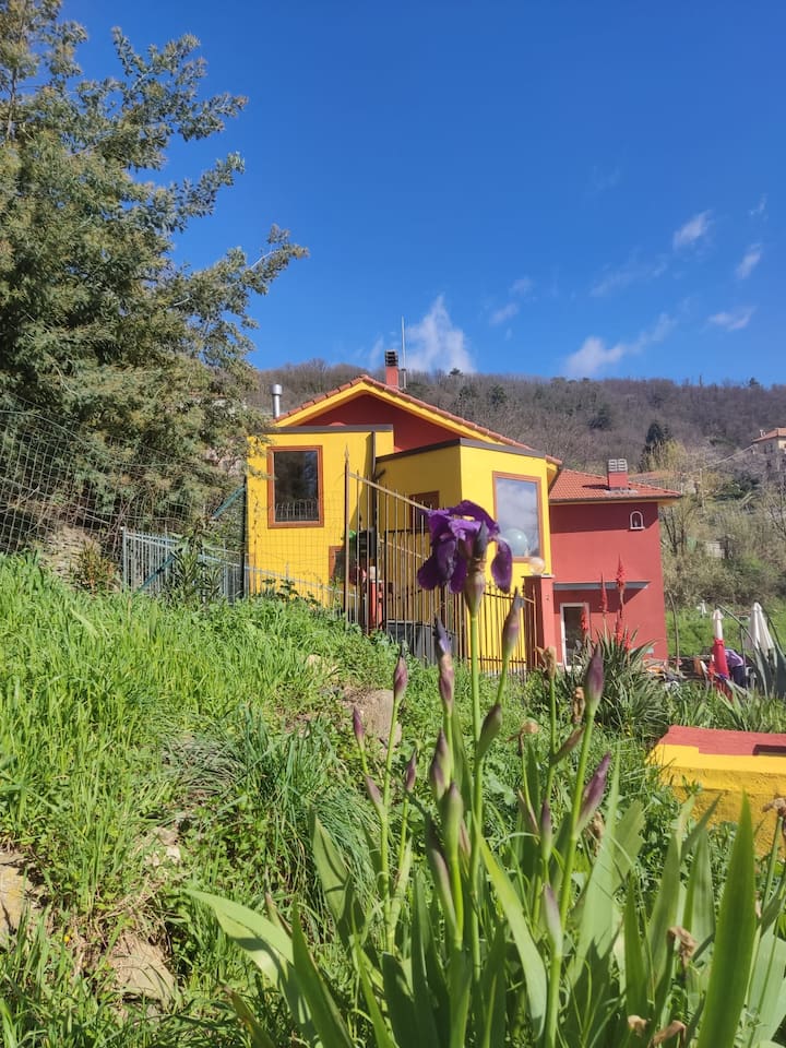 La Stanza Noce A San Martino - Varazze