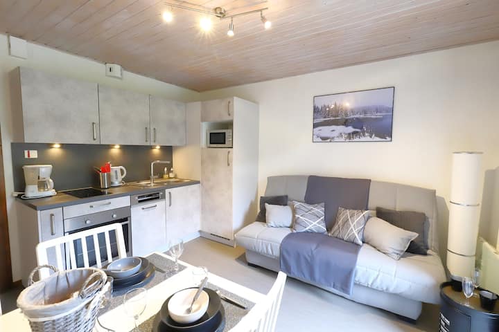 Appart Charmant,libre 23/08 Au 30/08. - ibis La Bresse Gérardmer