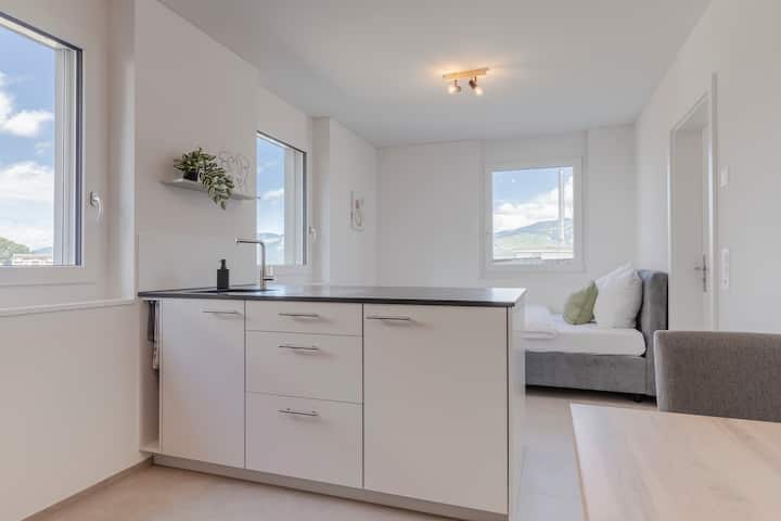 Blüemlisalp Studio - Aare Jungfrau Ag - Spiez