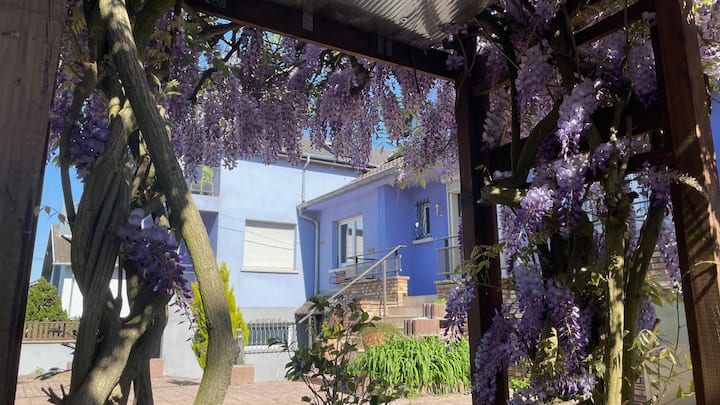 Appartement Confortable Et Spacieux Au Calme - Niederbronn-les-Bains