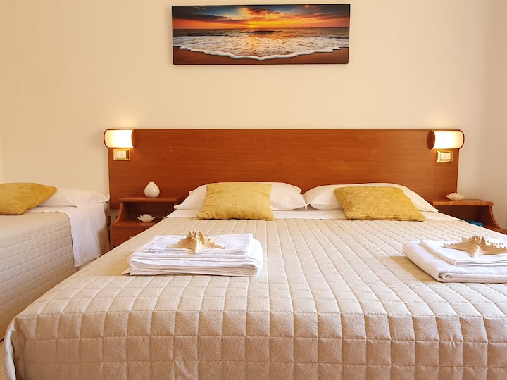 La Rafflesia - Rimini