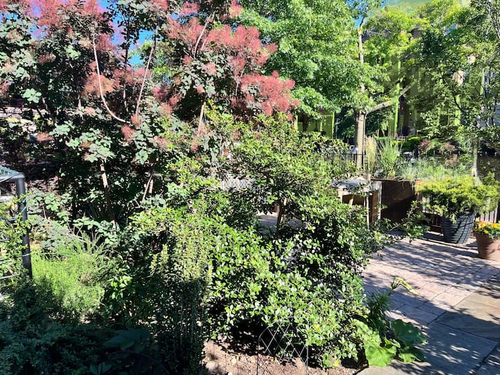 Bright Spot, Perfect Location - Bethesda, MD