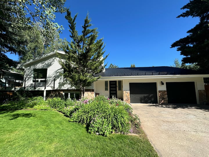 New Reno 5br Home Central Location With Large Yard - Aspen, CO