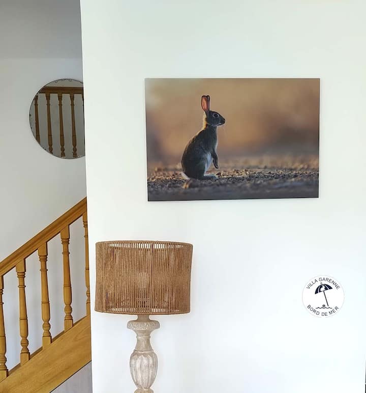 Villa Garenne Bord De Mer - Plage 1 Minute à Pied - Quiberon