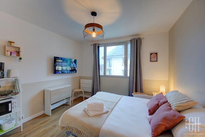 Le Terminus Studio Cosy /Face Gare /Ascenseur - Tours