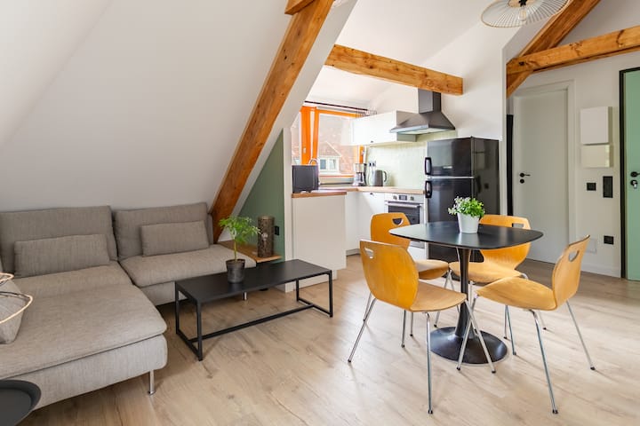 Le Charme De L'ancien Allié Au Contemporain - Hœnheim