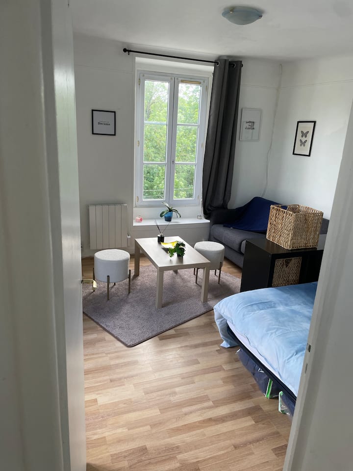 Appartement Studio Bord De Marne - Champs-sur-Marne