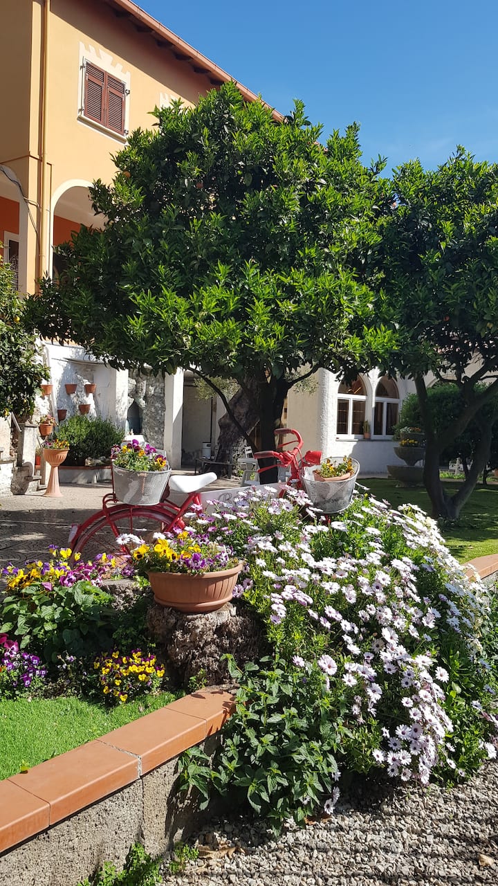 Orchidea Verde: Oasis Of Relax - Finale Ligure