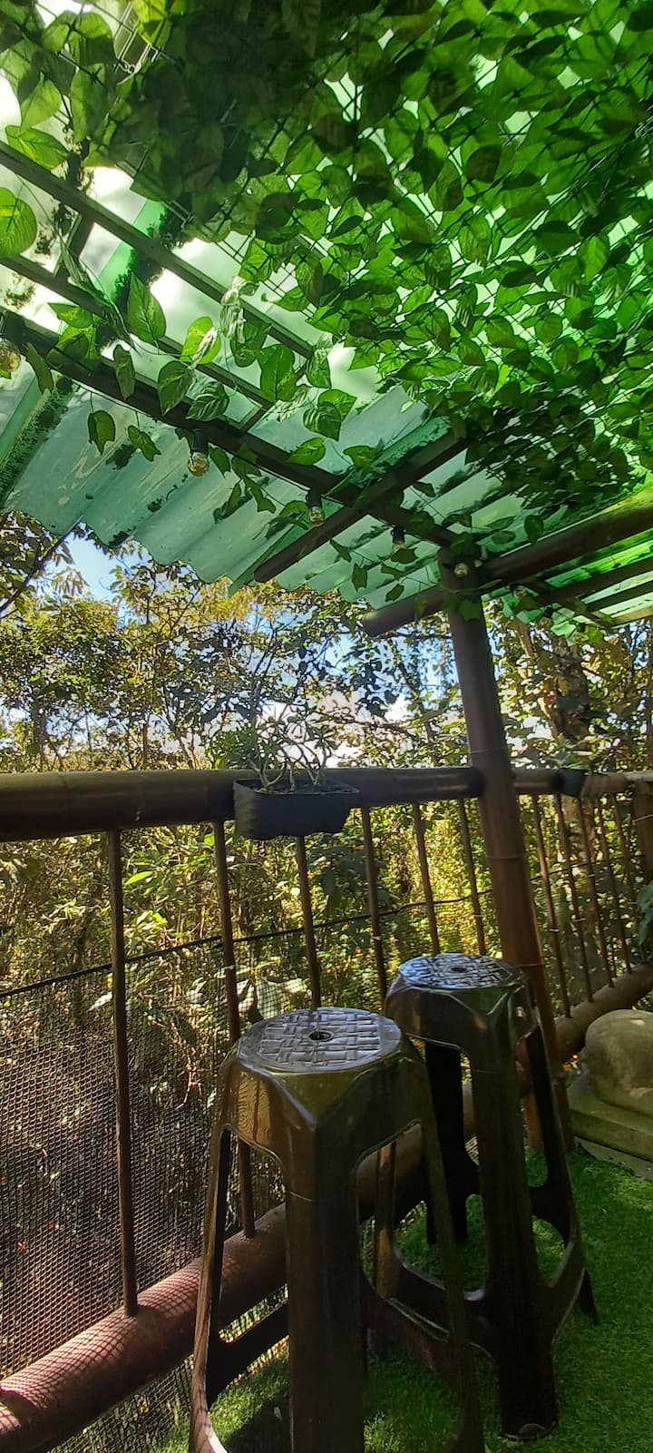 Alojamiento Santa Elena Vista Al Bosque Desayuno - Guarne