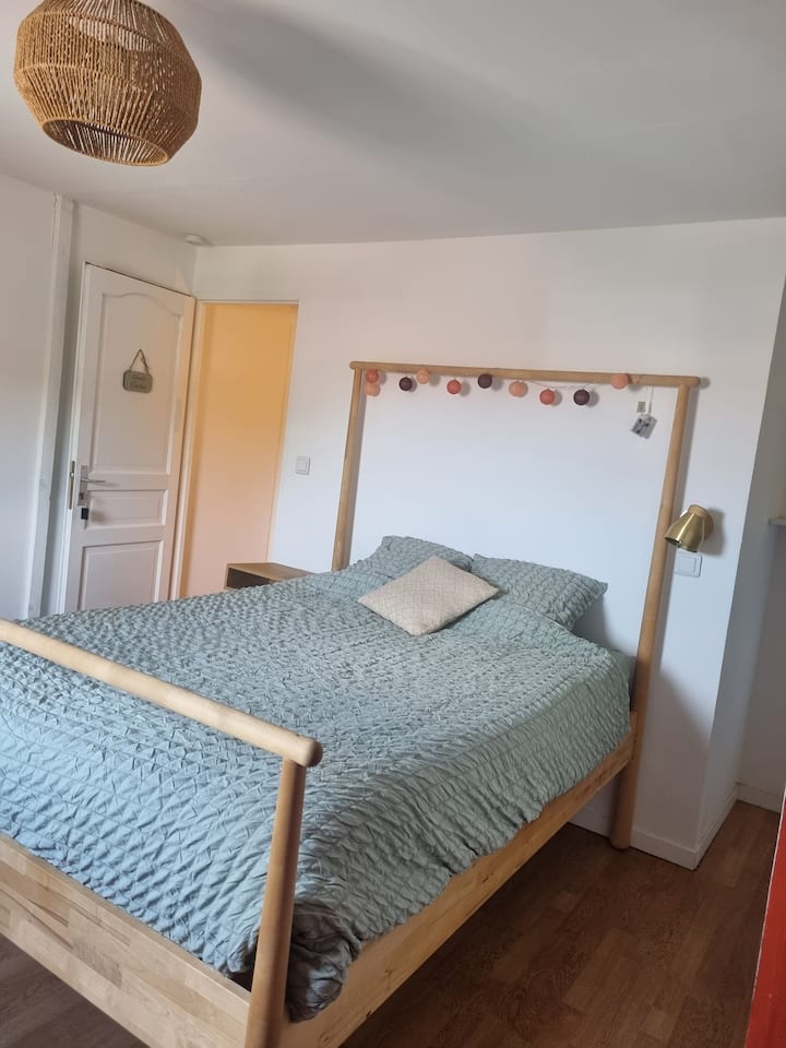 Chambre Cactus - Roubaix
