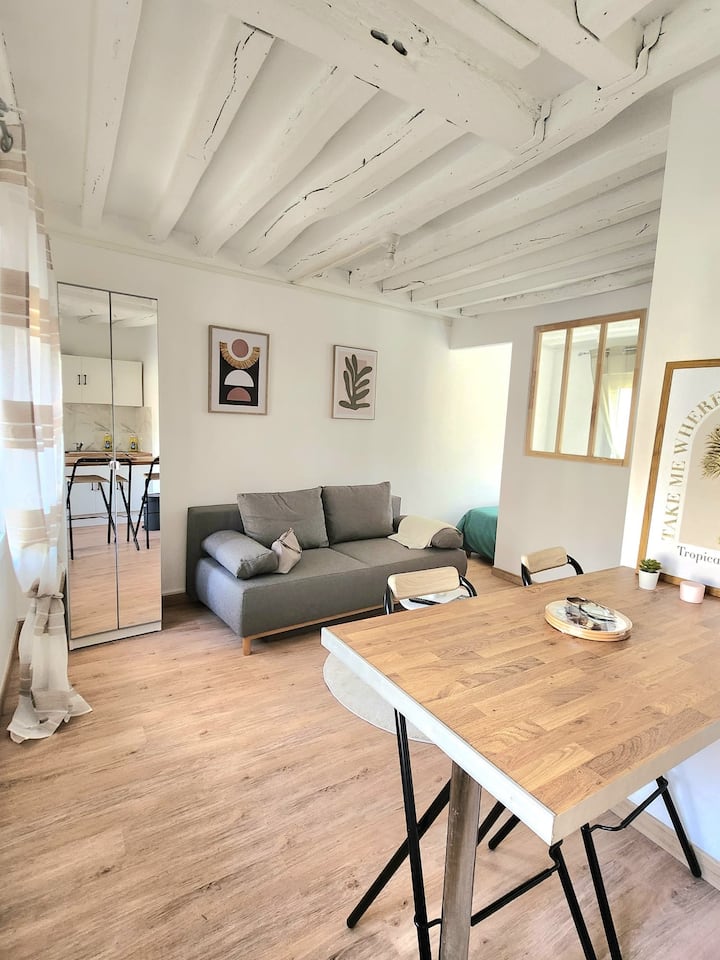 Studio Lumineux Refait à Neuf - Plailly