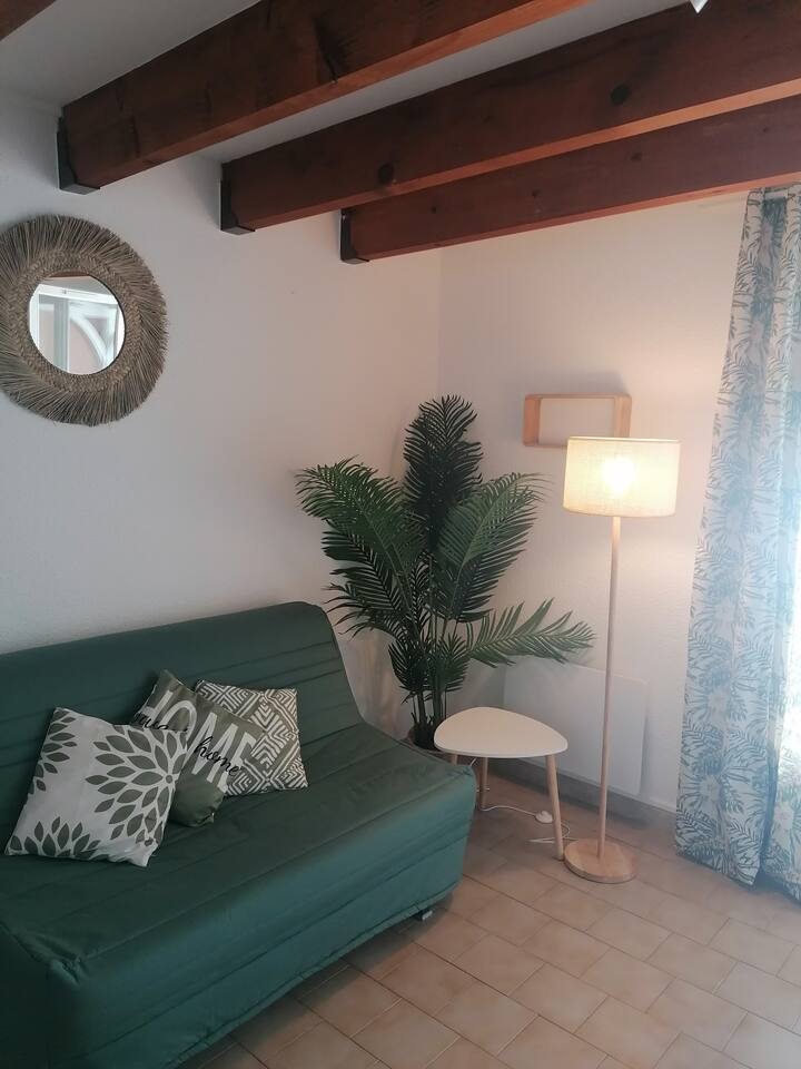 Charmant Pavillon De Vacances à La Plage, Clim,pkg - Agde