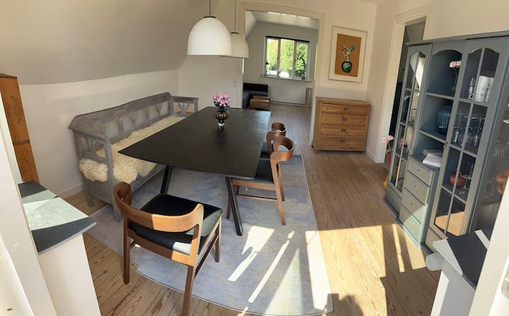 3 Bedroom City Center Apartment With Roof Terrace - Odense