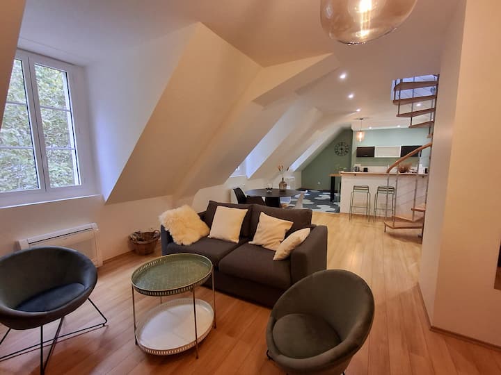 Appartement Spacieux Centre Ville  Parking Privé - Tours